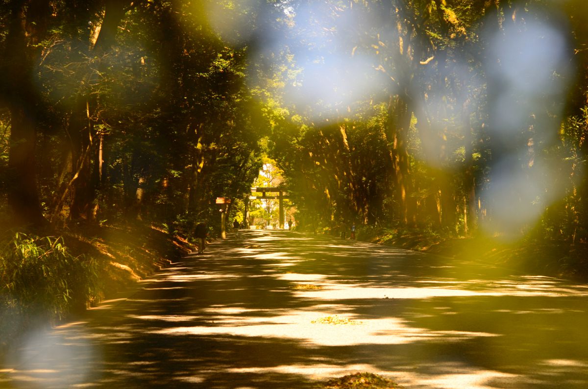 DSC_0094_045.JPG | GANREF