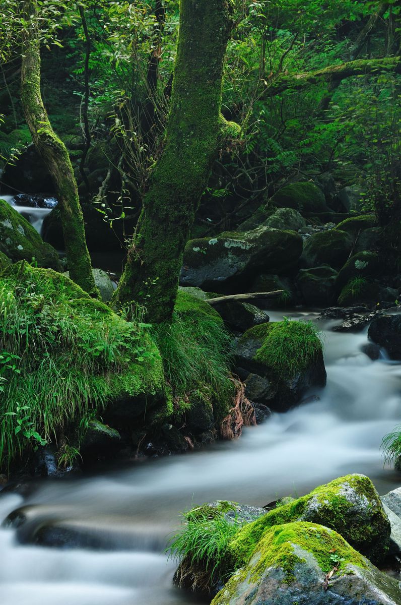 日光清流3 | GANREF