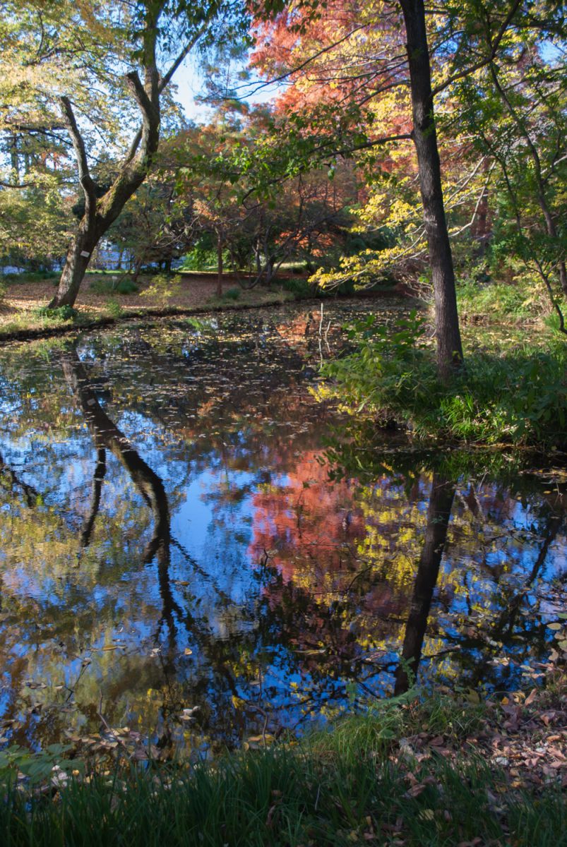 straight＆curve | GANREF