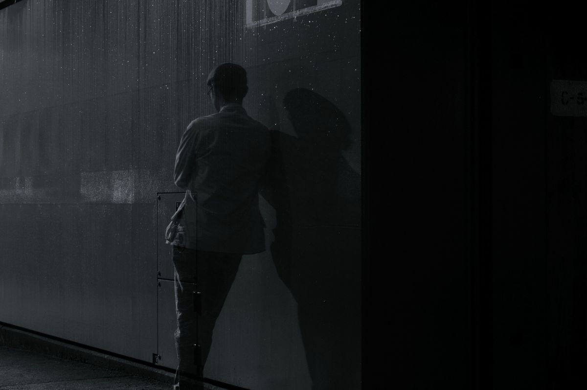 The Invisible Man2 | GANREF