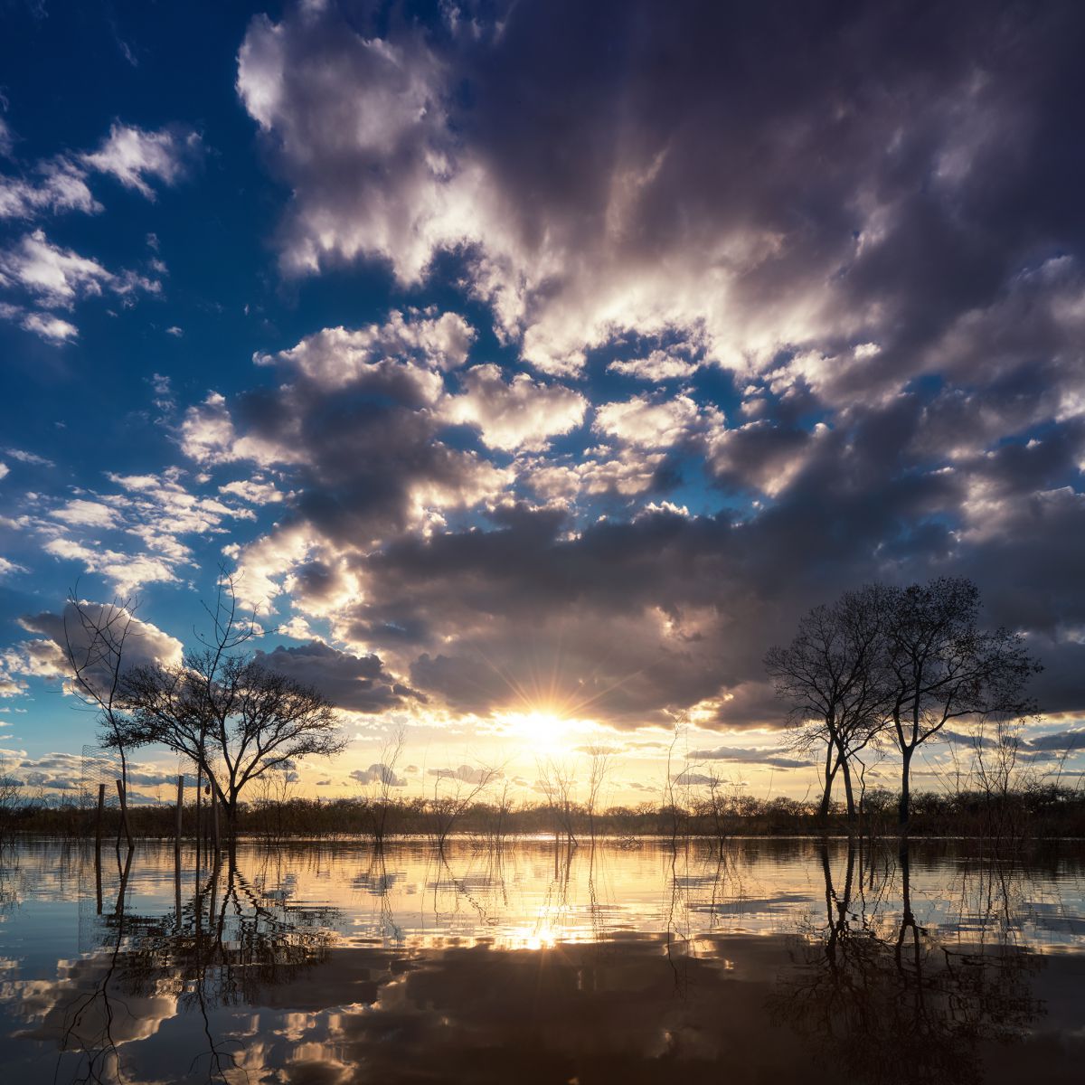 Open the Gate | GANREF