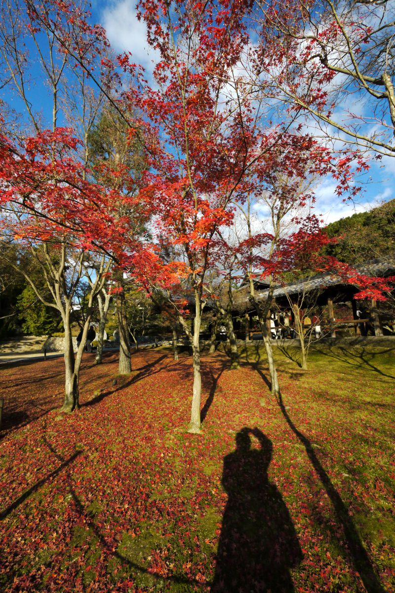 ただ今、撮影中 | GANREF