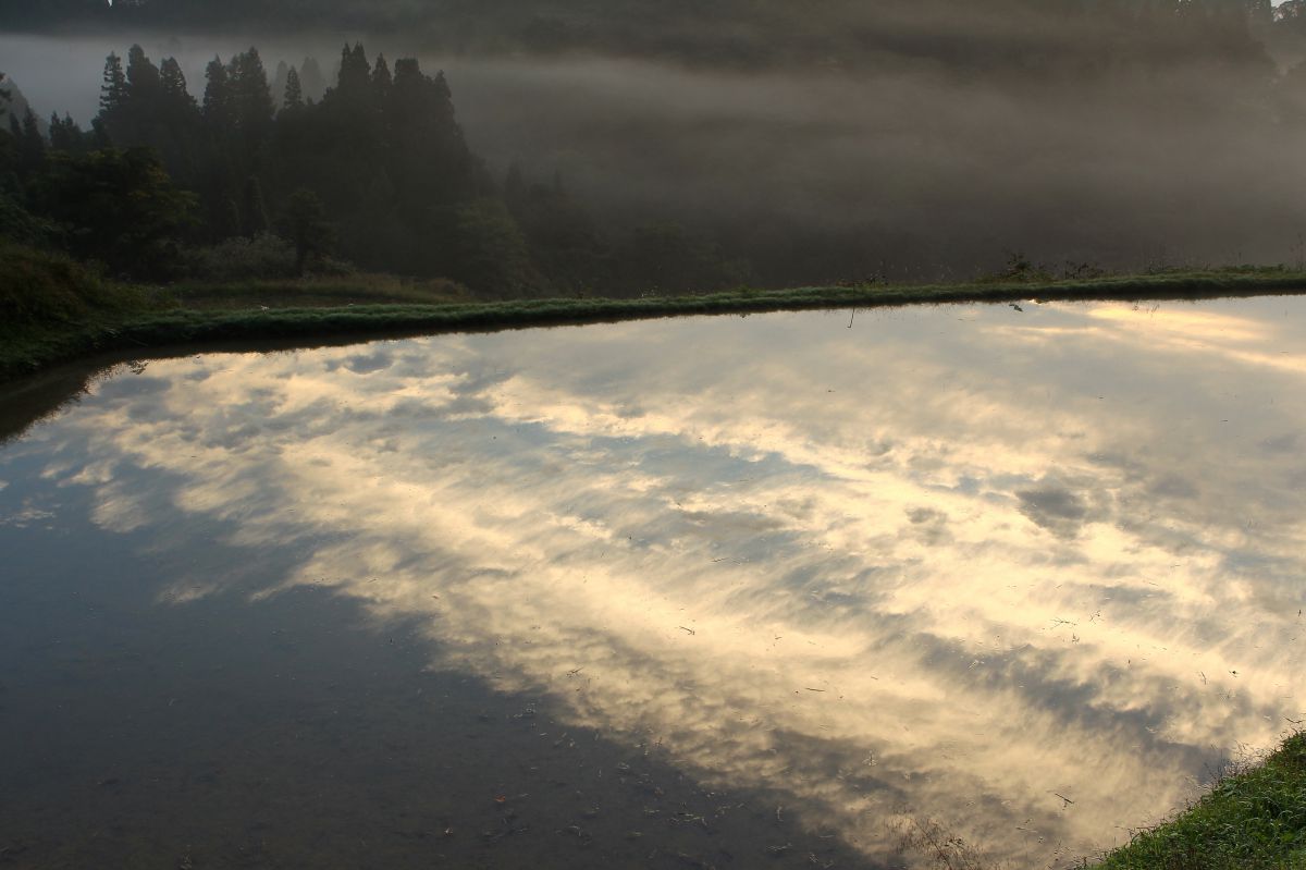 蒲生の秋642 | GANREF