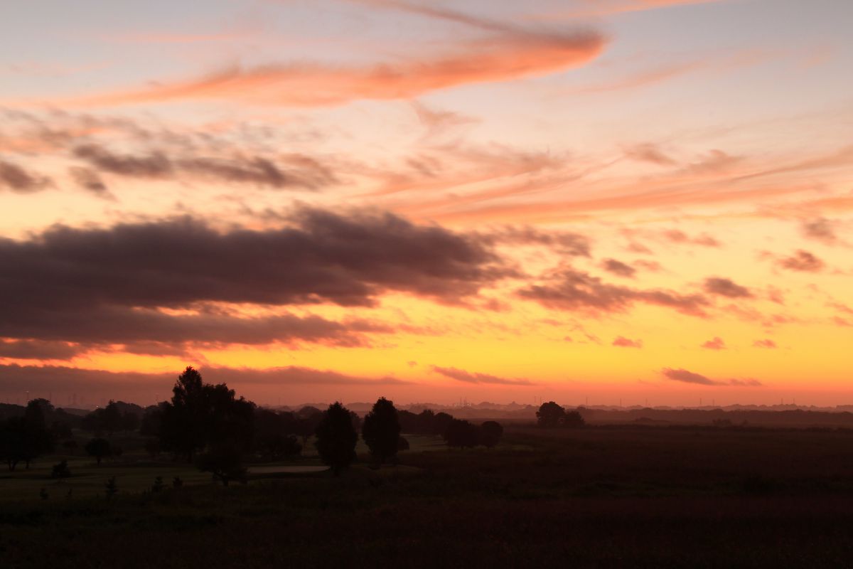 Sunrise Glow | GANREF