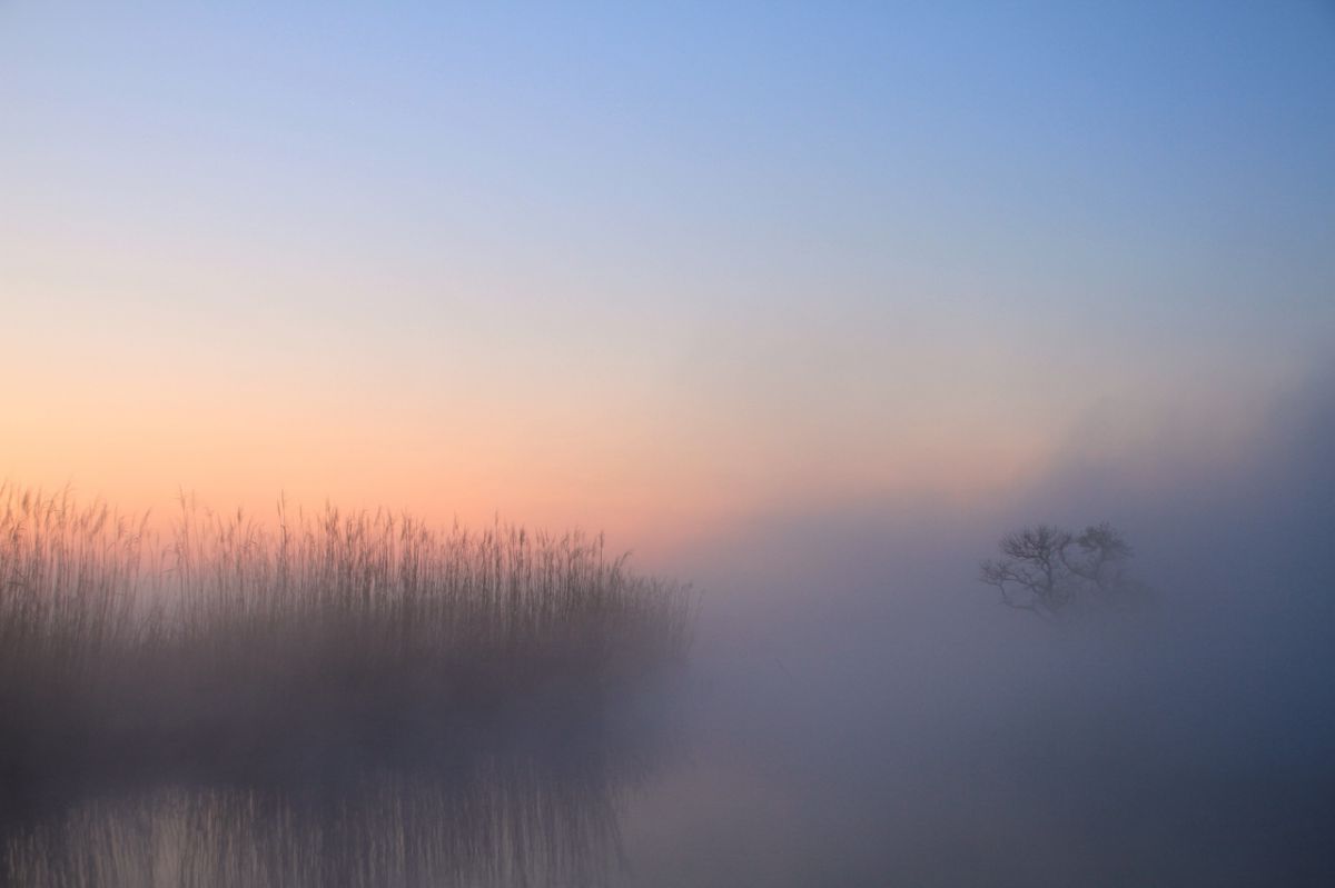 静かな朝434 | GANREF