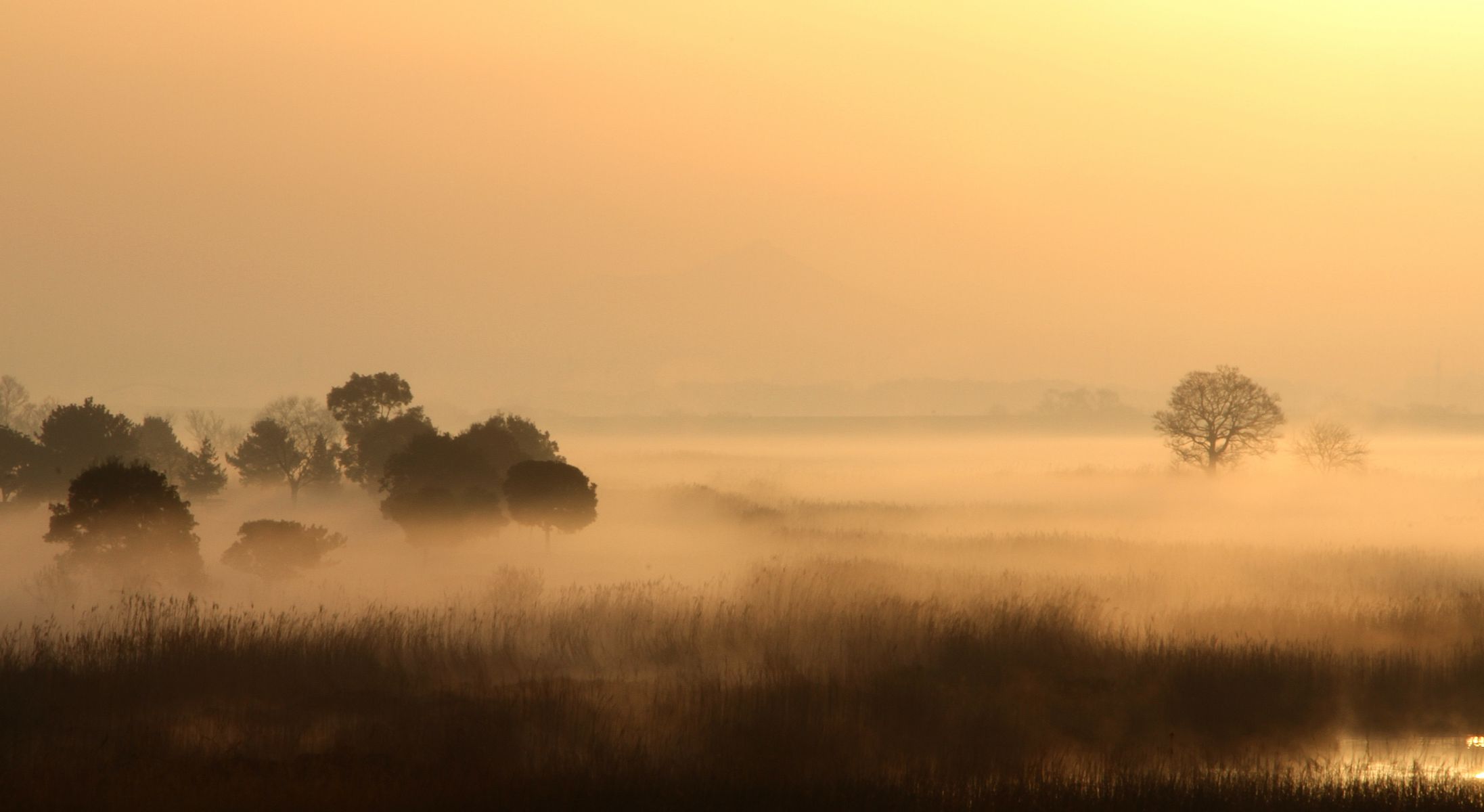 渡良瀬の朝618 | GANREF