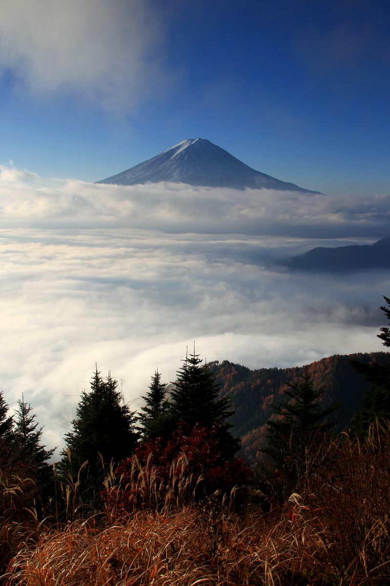 雲海とともに | GANREF