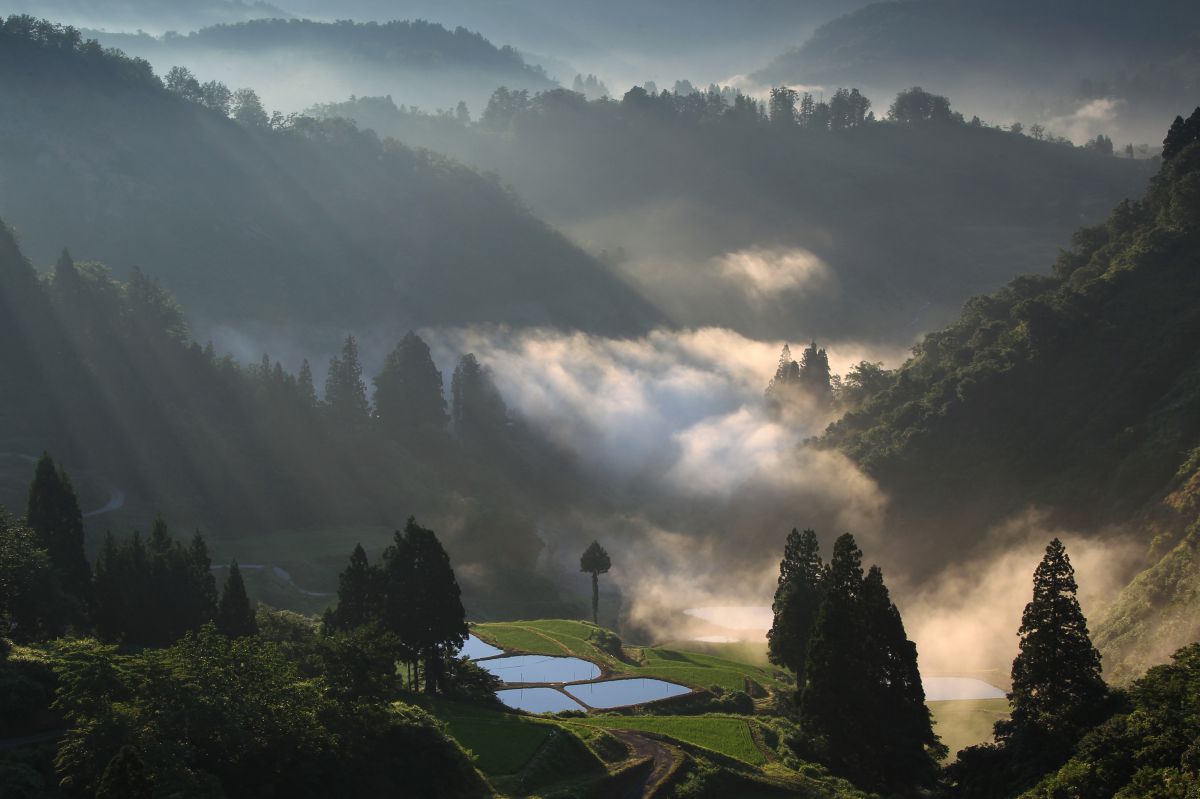 光、射す522 | GANREF