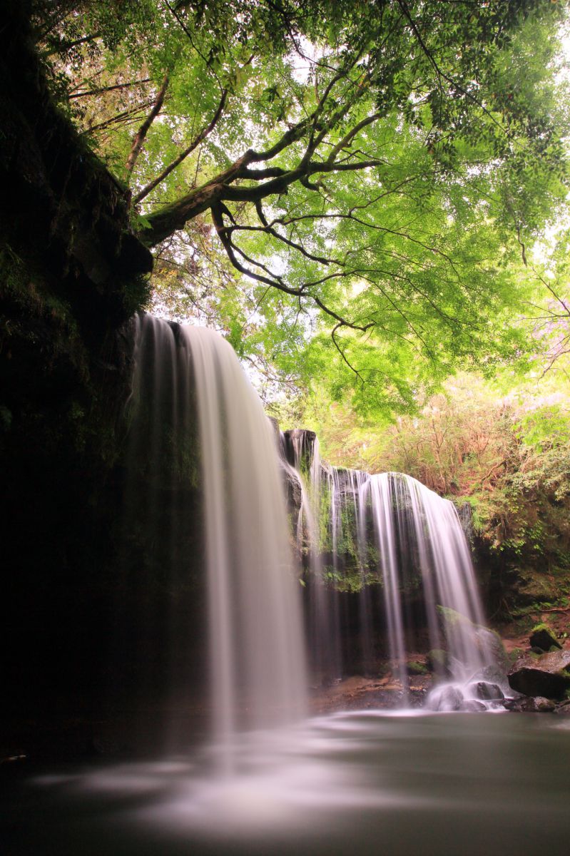 新緑映える | GANREF