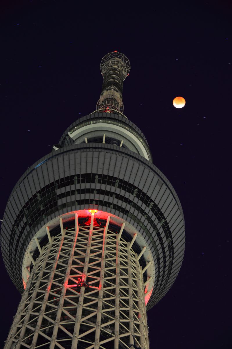 Red moon I | GANREF