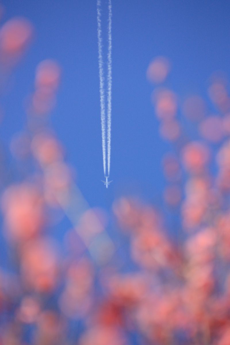 SKY Necklace | GANREF