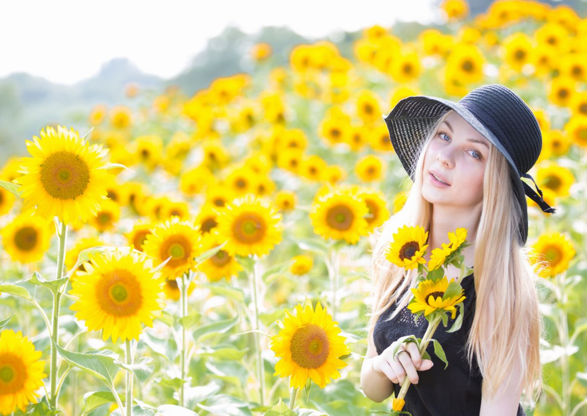 The Sunflower Lady | GANREF