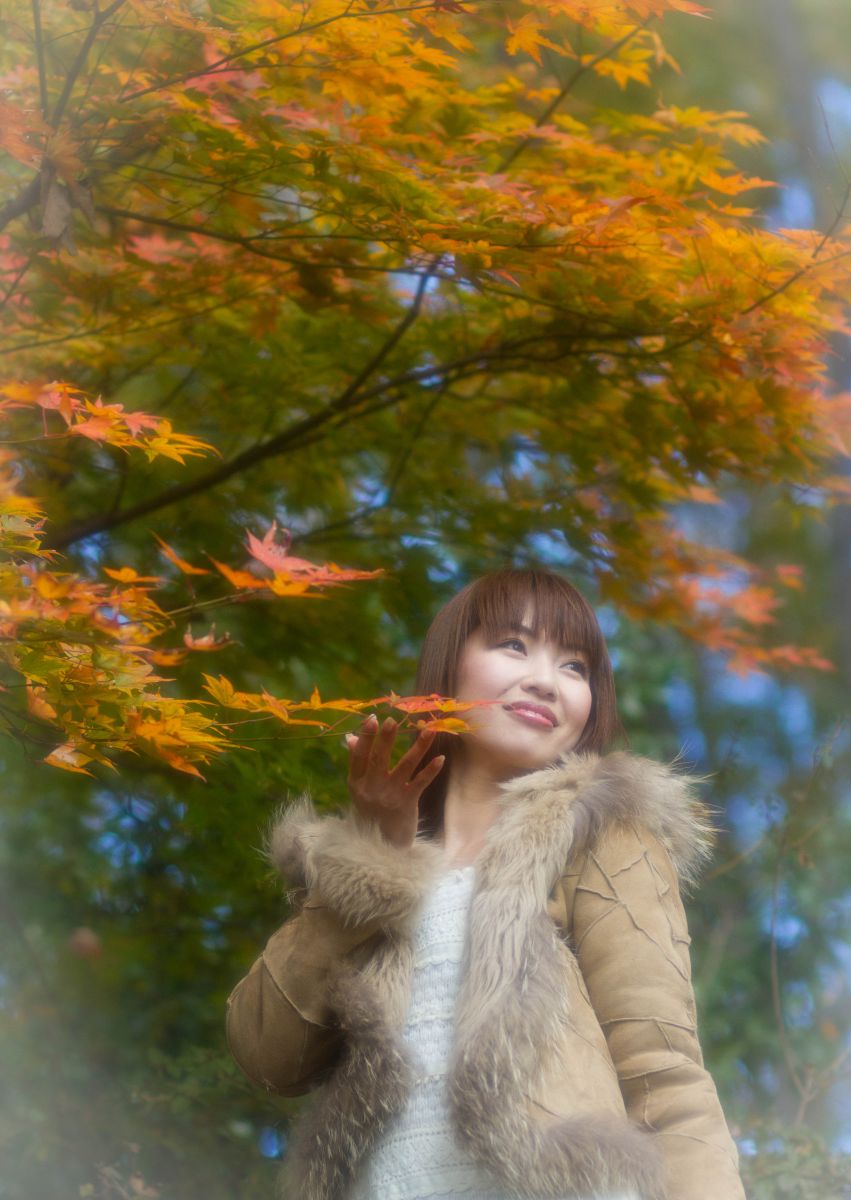 もみじ娘。 | GANREF