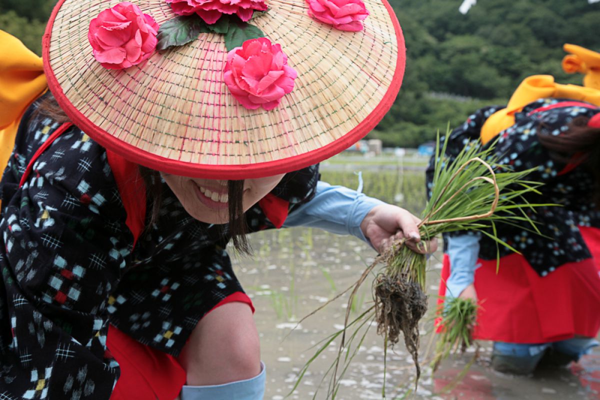 2009田園-127.jpg | GANREF