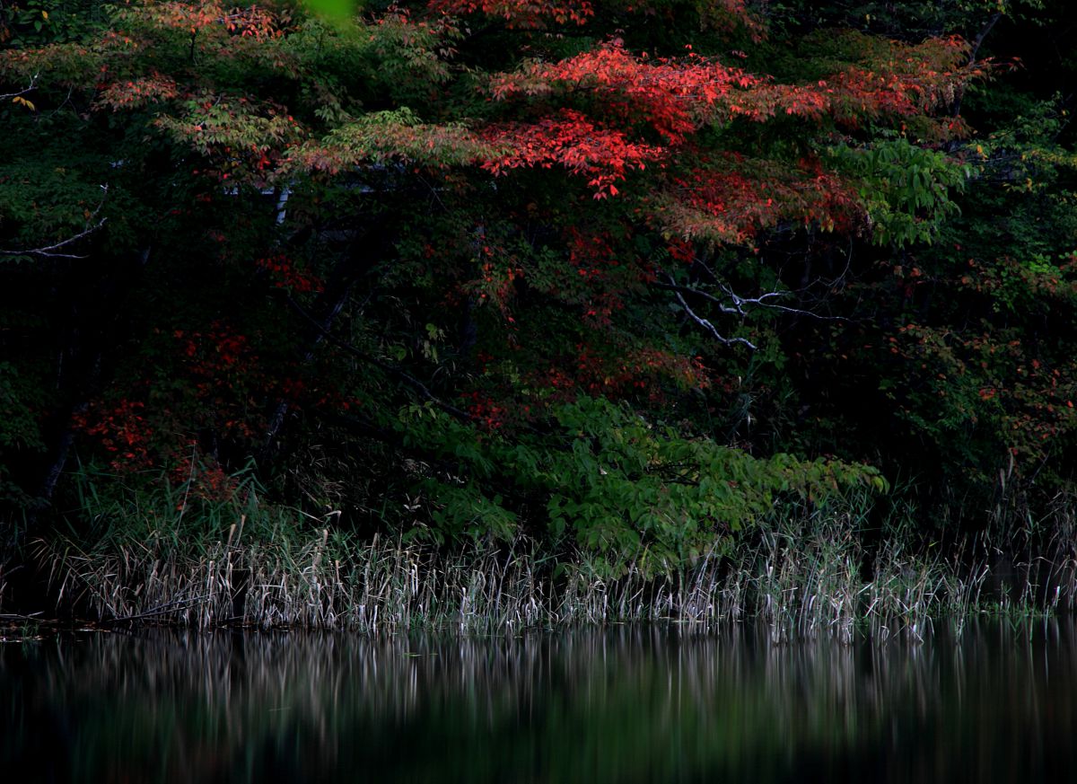 燃えるが如く | GANREF