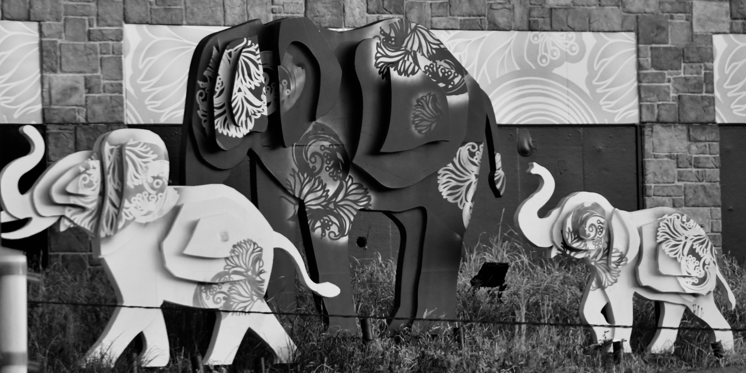 ゾウさん | GANREF