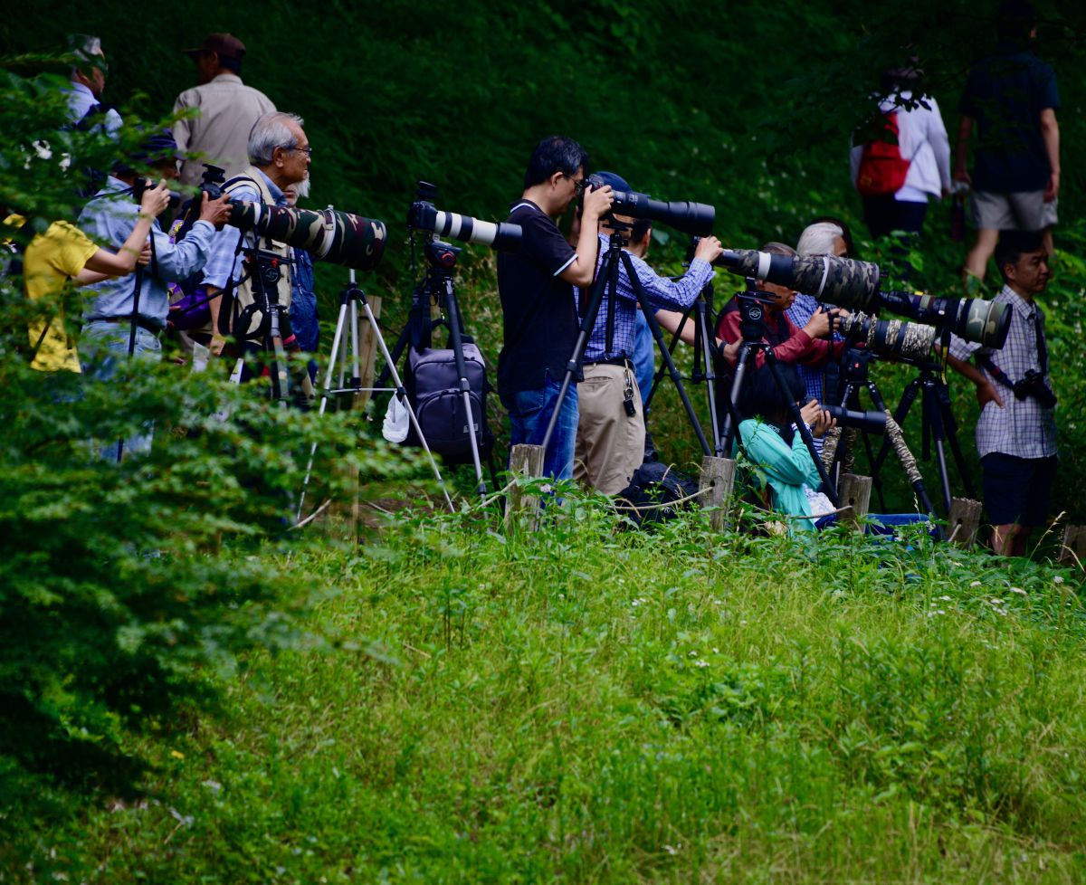 狙うカメラマンたち | GANREF