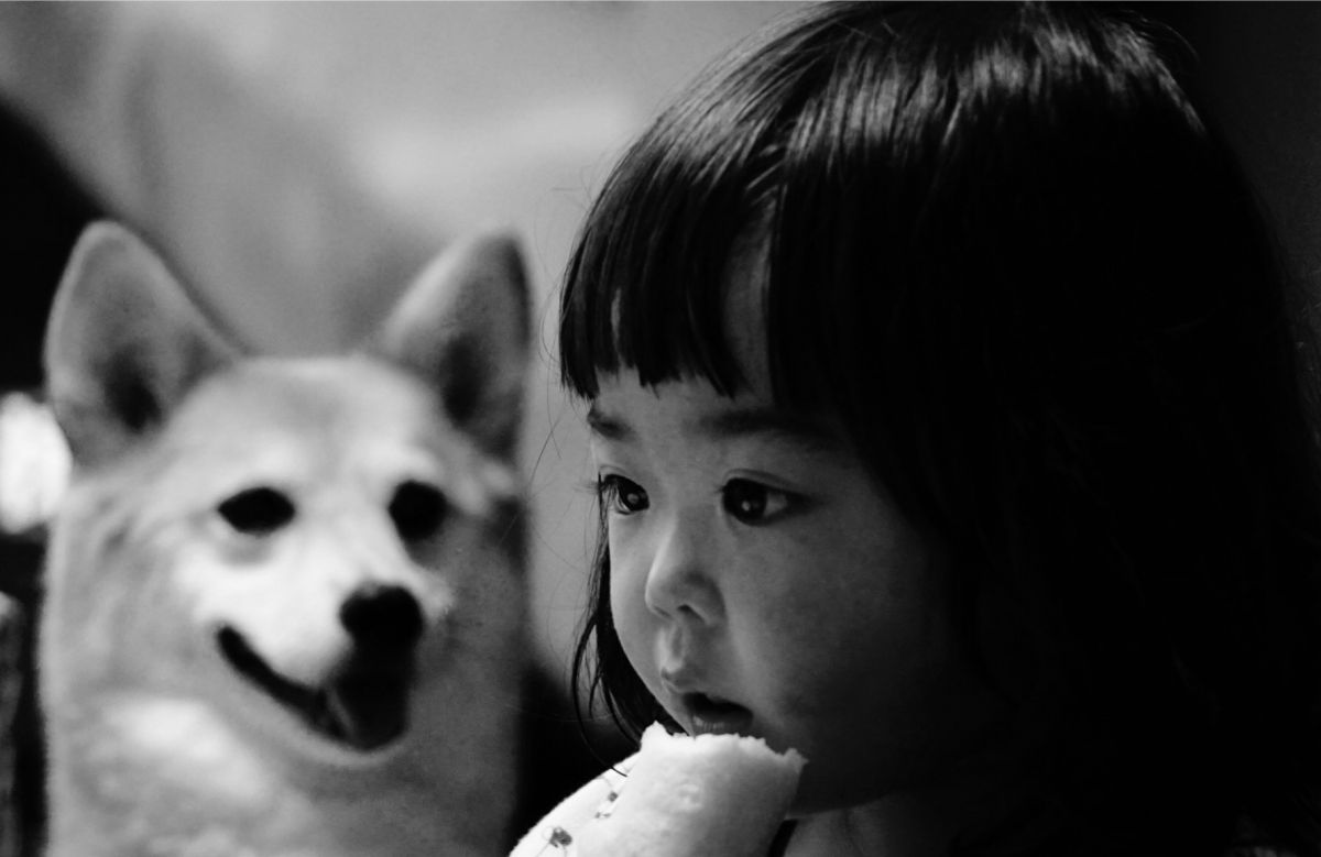 背後に、、 | GANREF