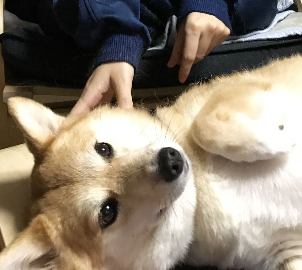 大好きなお姉ちゃんと Ganref