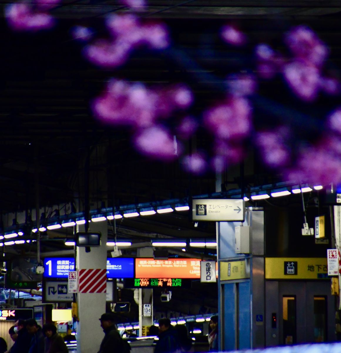 駅にも春が | GANREF