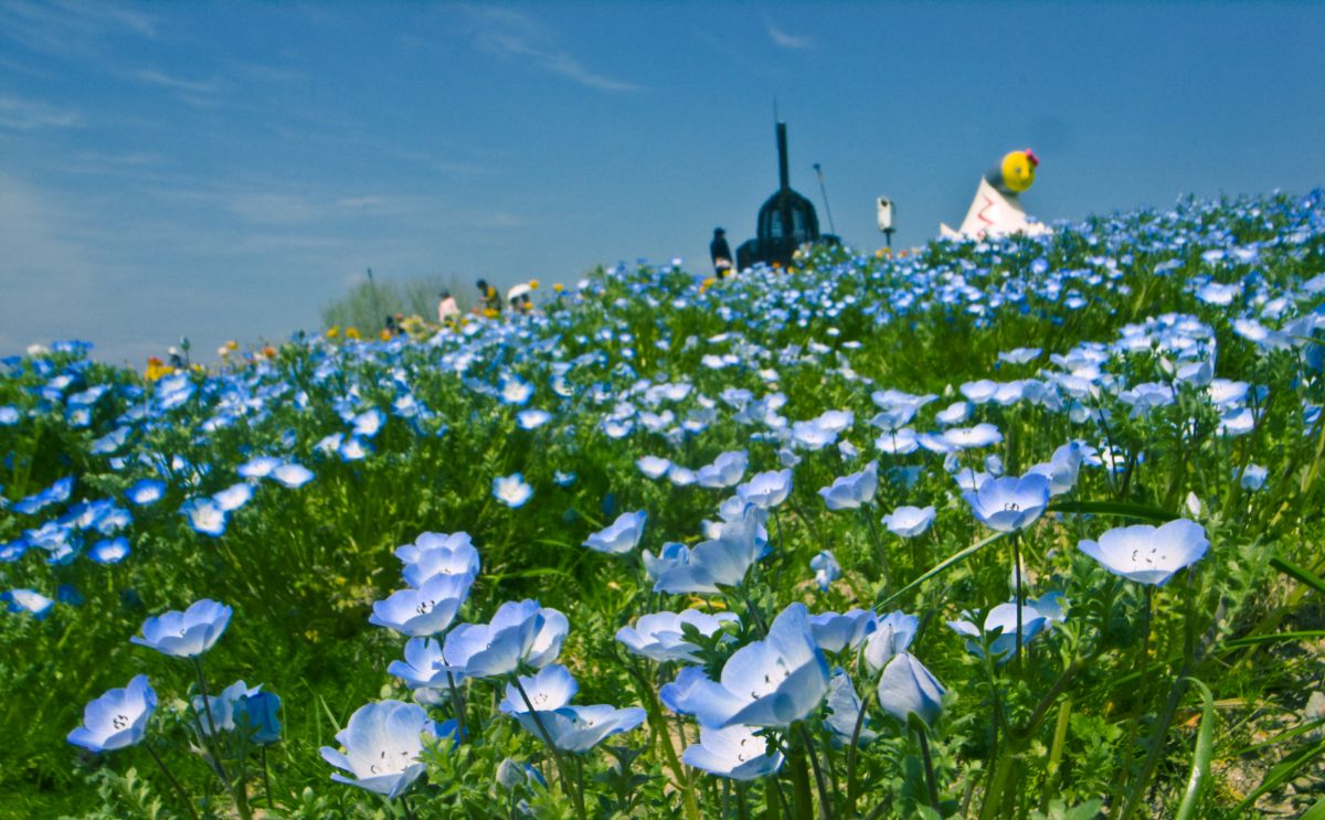 Blue Landscape | GANREF