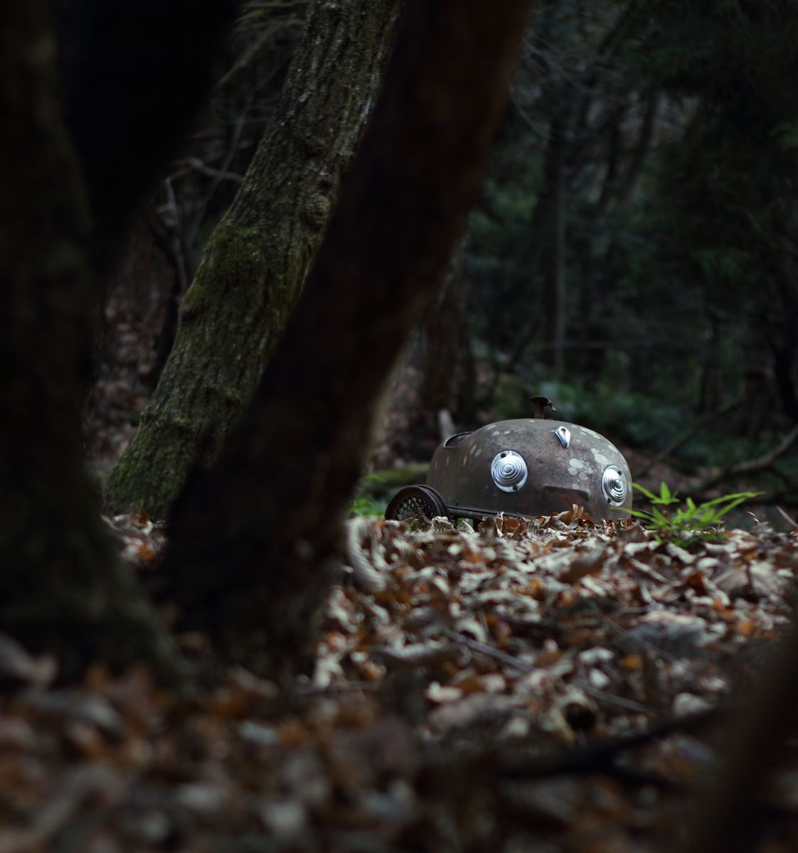 Hello again | GANREF