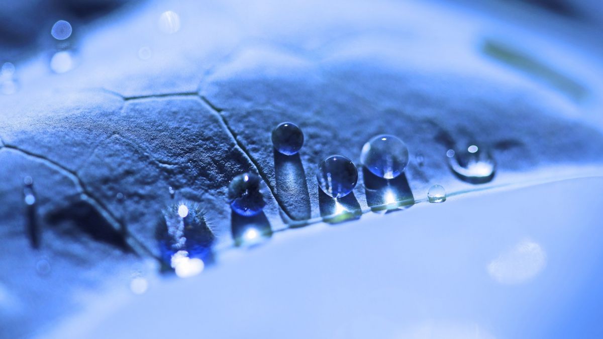 青いdiamonds☆ | GANREF