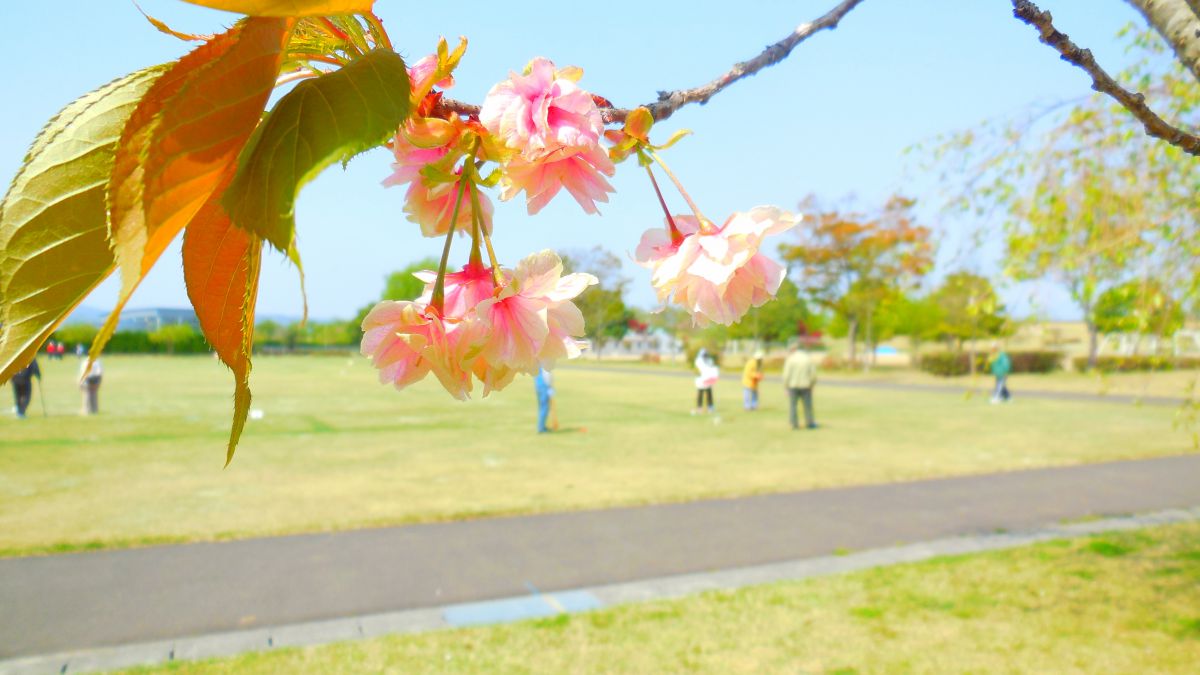 余暇の過ごし方 | GANREF