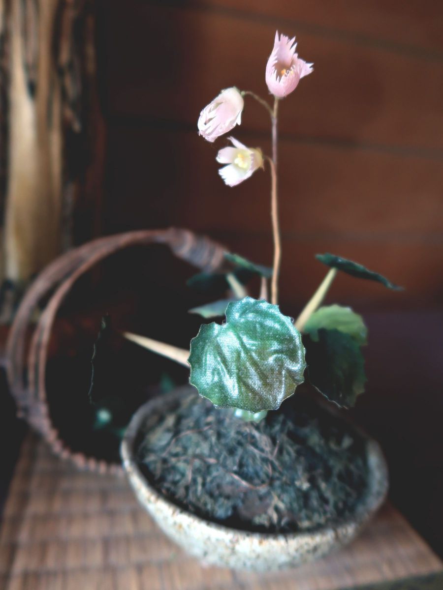 ーF・A・K・Eー | GANREF