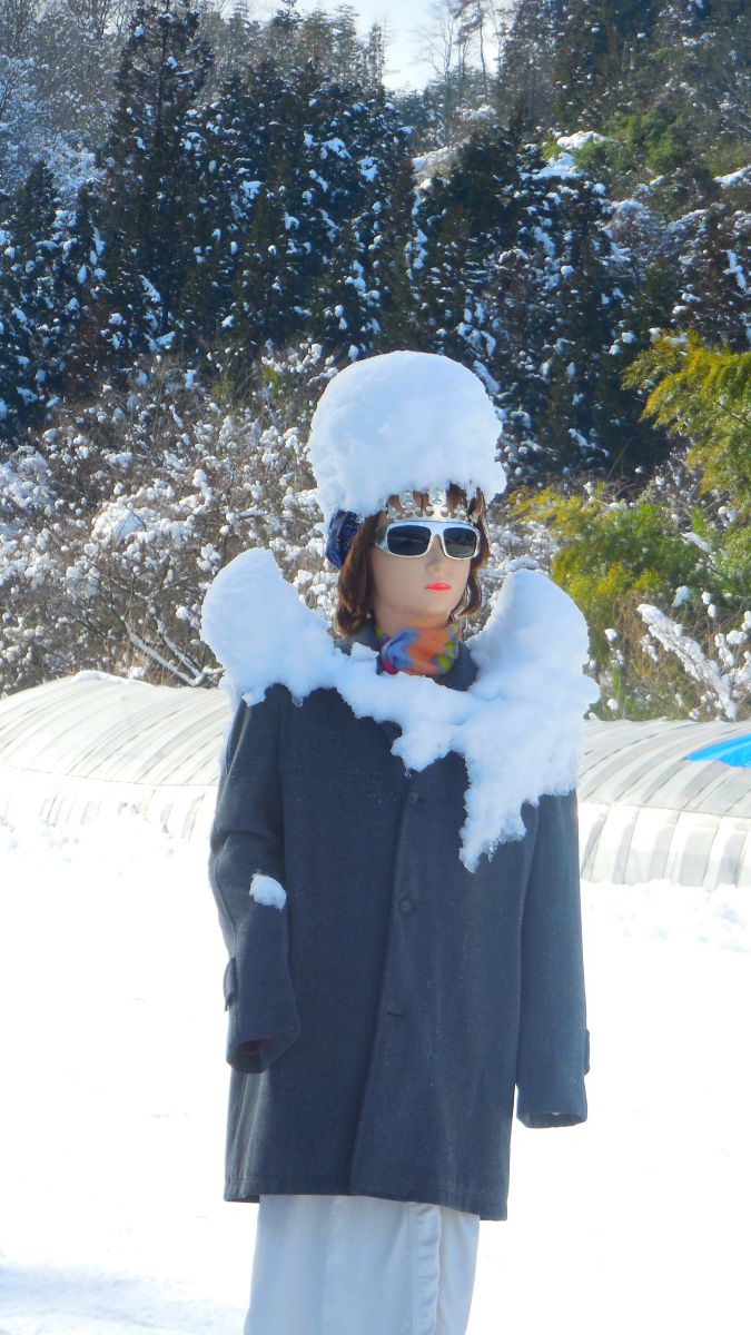 ☆New Face | GANREF