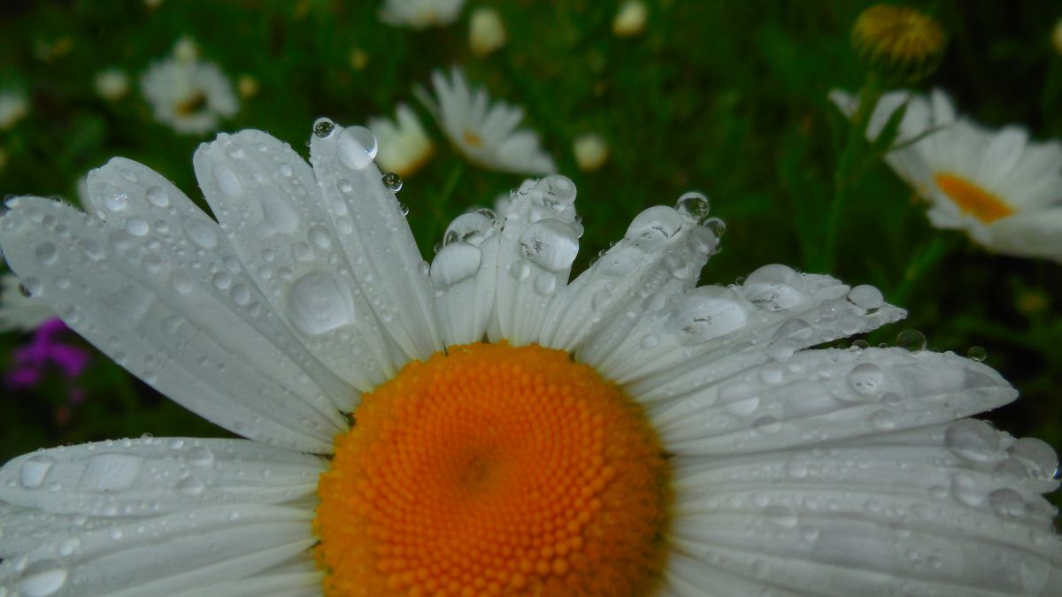 【組】before‐and‐after ～before～ | GANREF