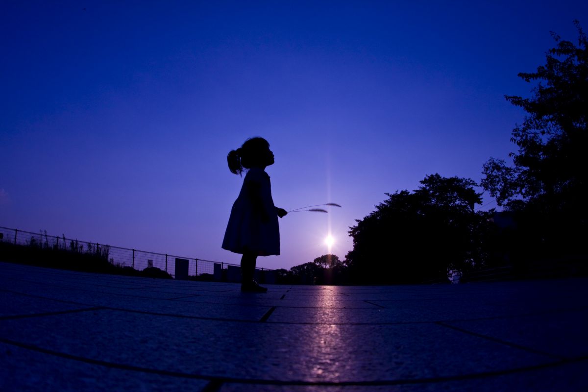 IMG_4831.jpg | GANREF