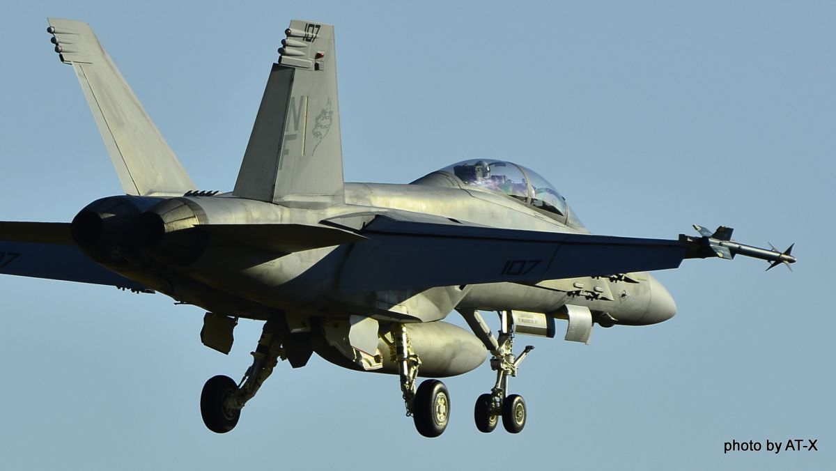VFA-102 Diamond Backs | GANREF