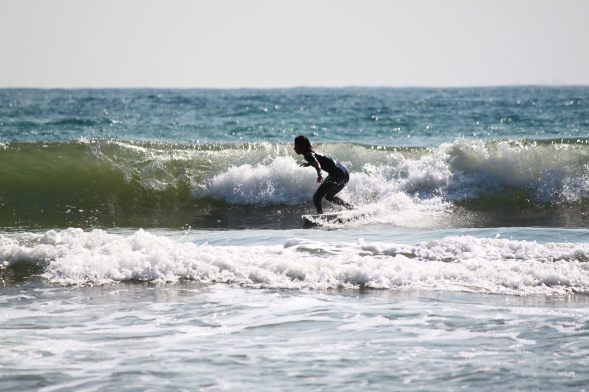 catch the wave! | GANREF