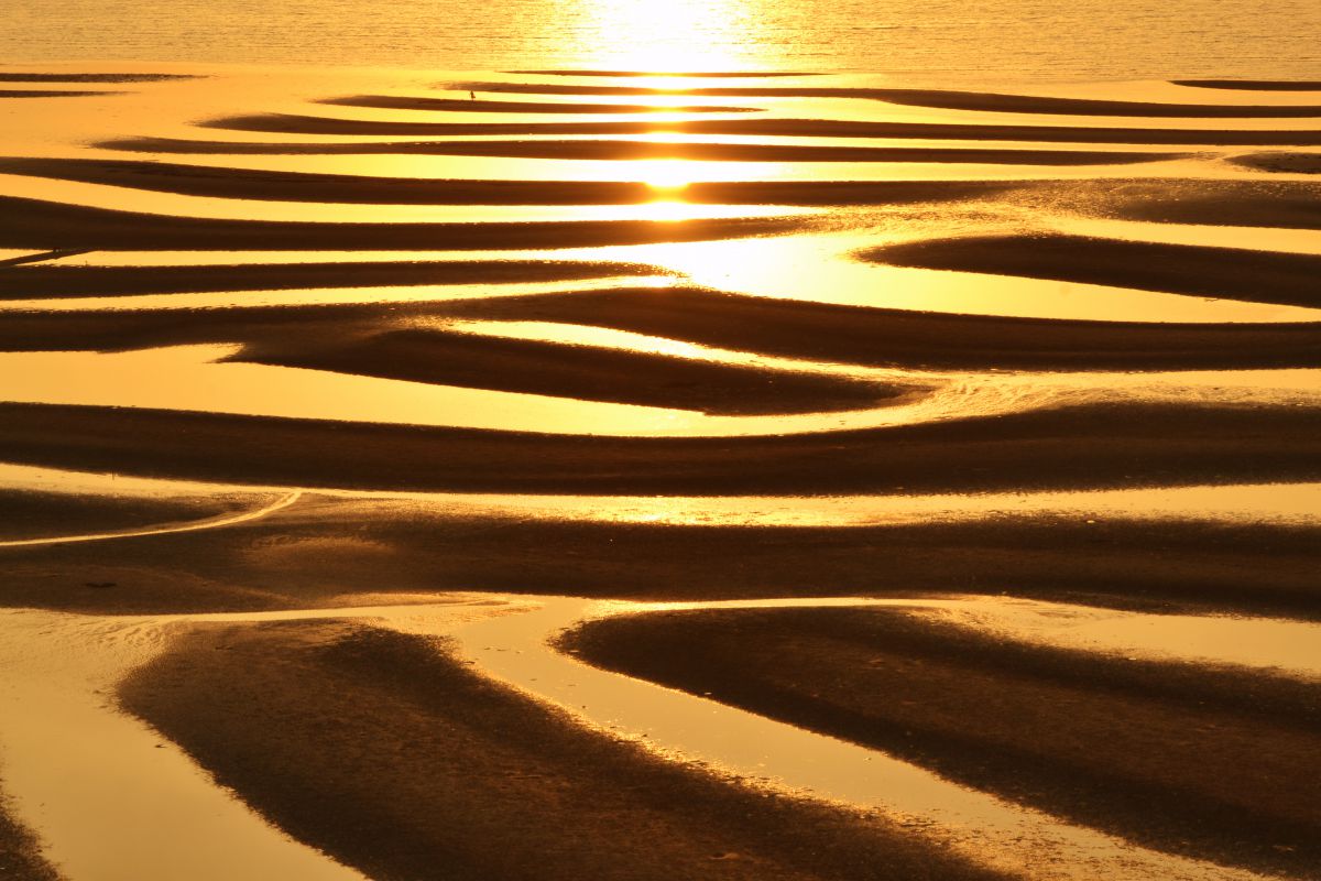 gold experience | GANREF