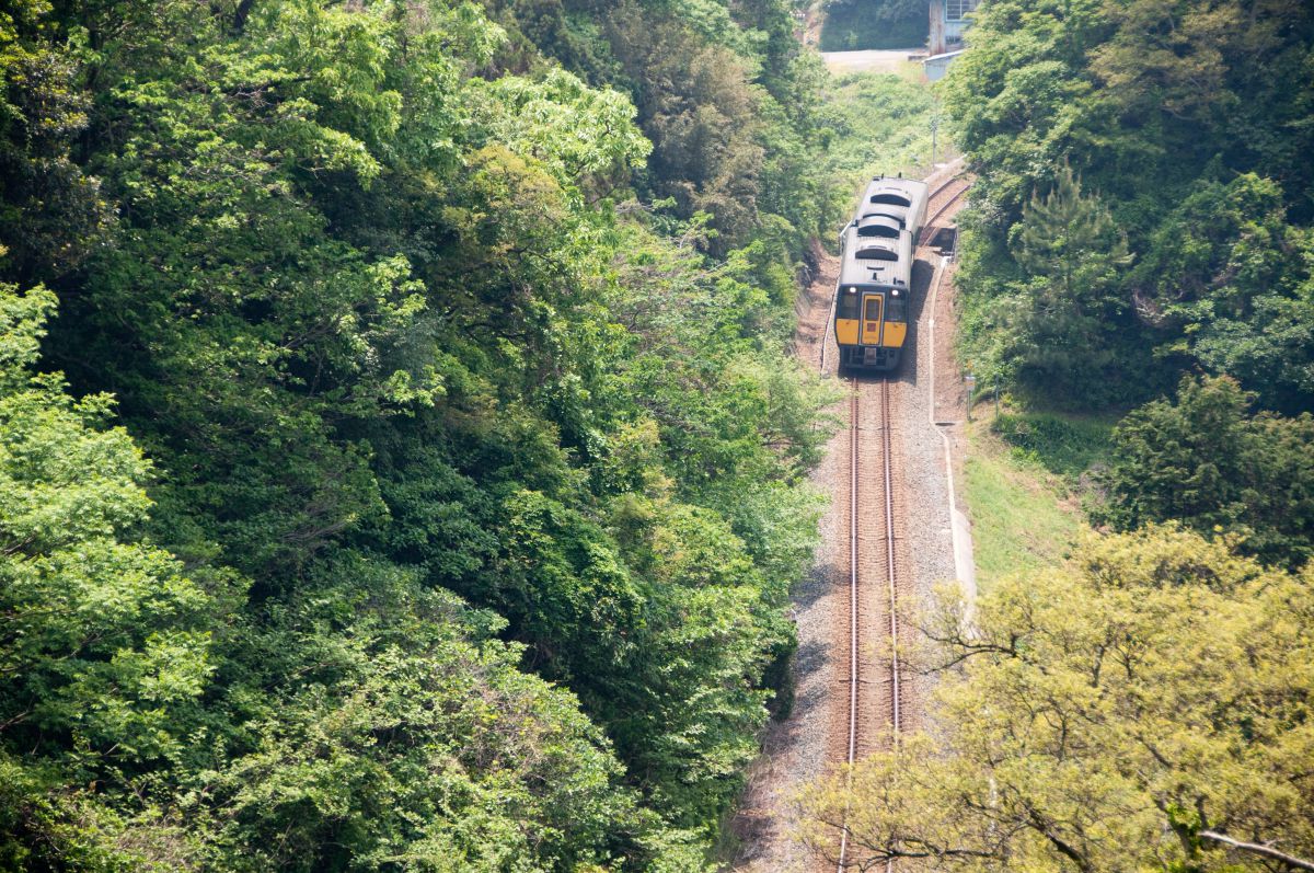 新緑の中を駆け抜けるキハ187 | GANREF