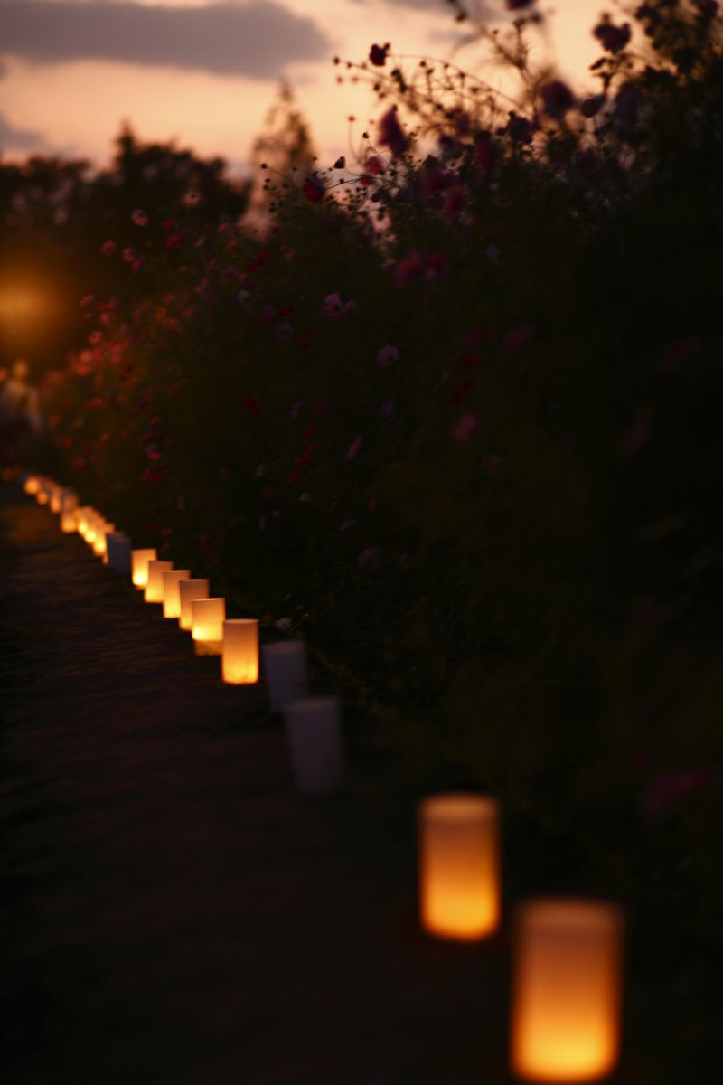 tscdppcp0055.JPG | GANREF