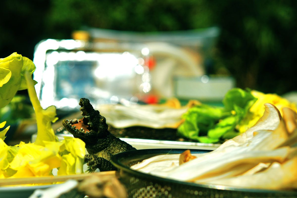 バーベキュー.JPG | GANREF