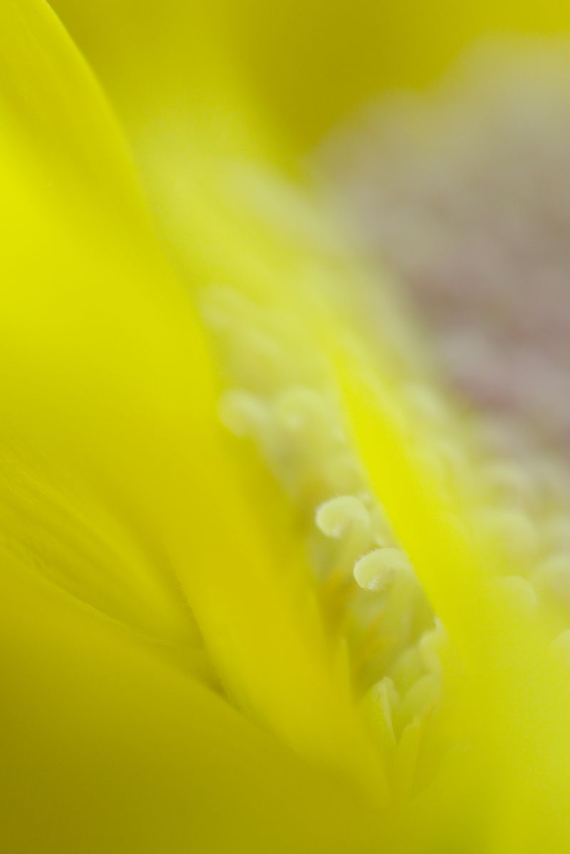 断ち切れない誘惑 015.jpg | GANREF