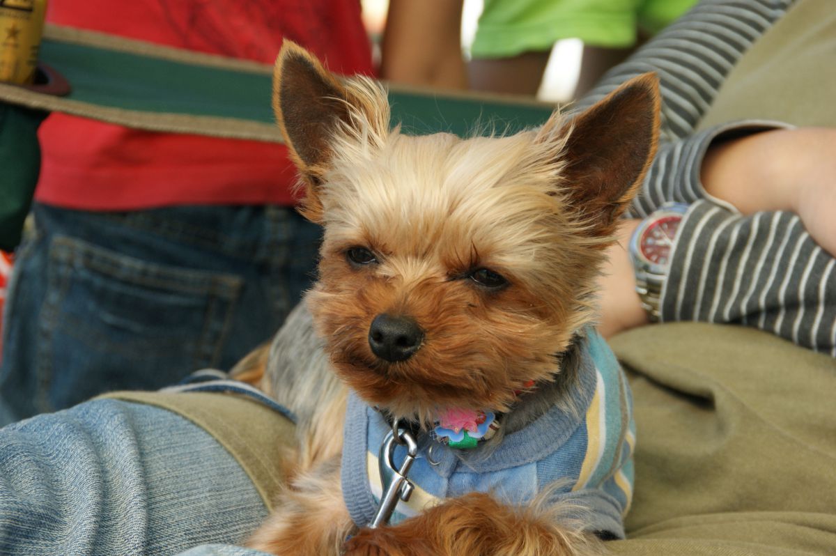 うとうと | GANREF