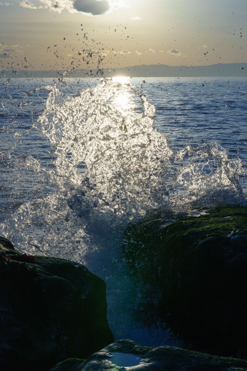 What? Wait! Wet! | GANREF