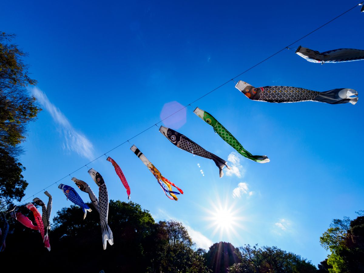 Koi fish in the sky | GANREF