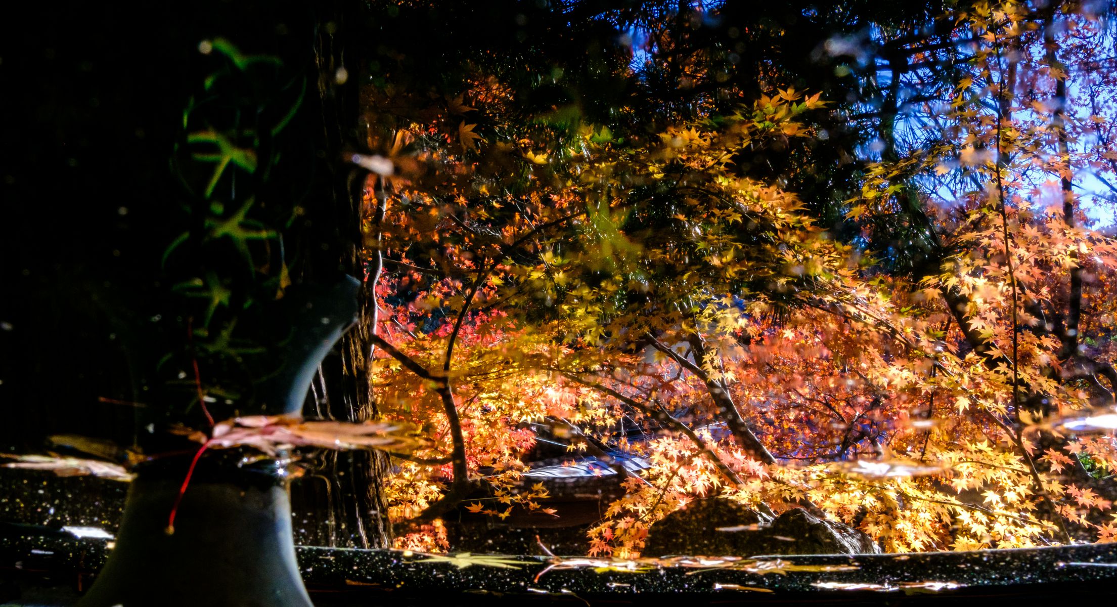 天上天下 | GANREF