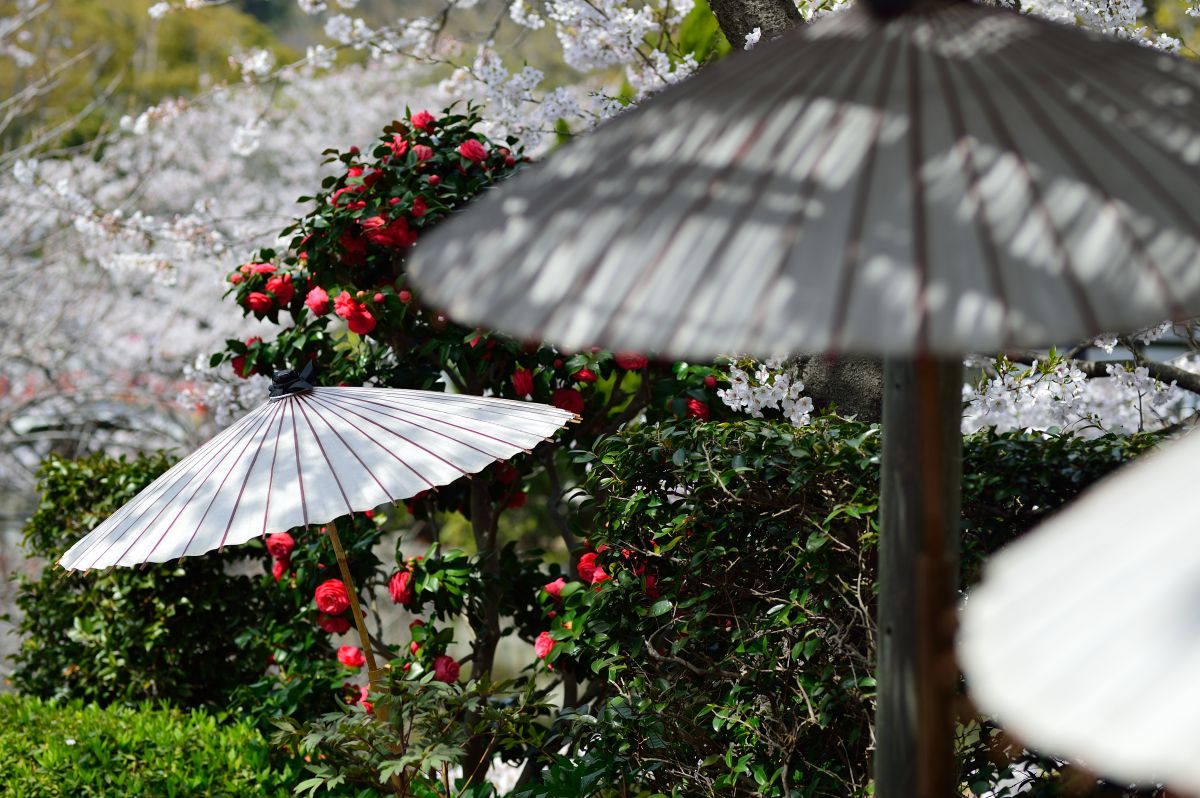 春になり | GANREF