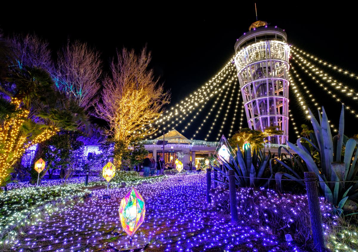 Enoshima lighting | GANREF