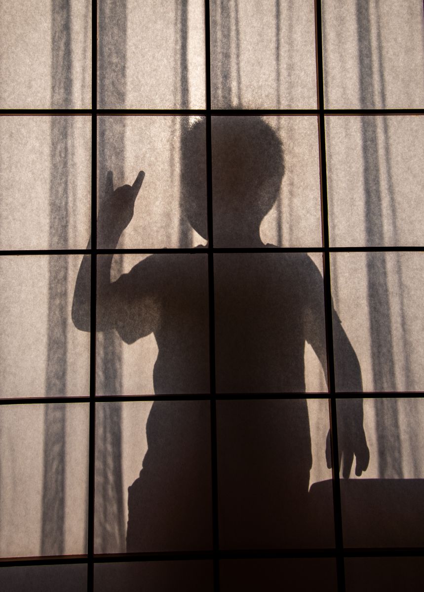 shadow performance | GANREF