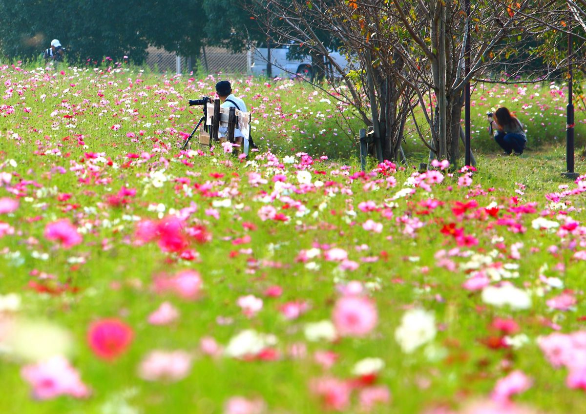 撮って撮られて | GANREF