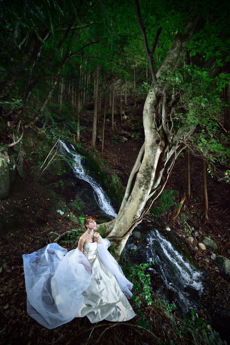 dress&forest | GANREF