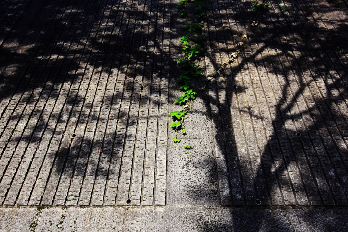 The virtual image on a wall 1 | GANREF