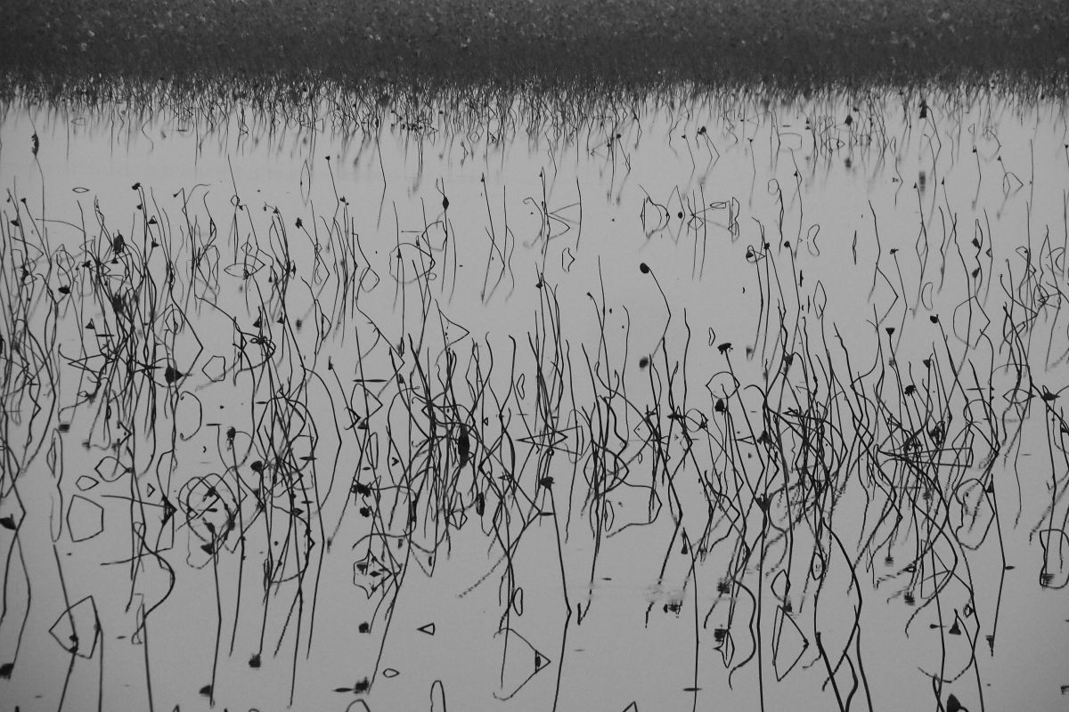 Geometric pattern | GANREF